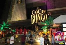 Tours, activities and transfers in Cancun and the Riviera Maya