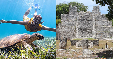 Swim turtles and mayan ruins in cancun | cancunrivieramaya.com