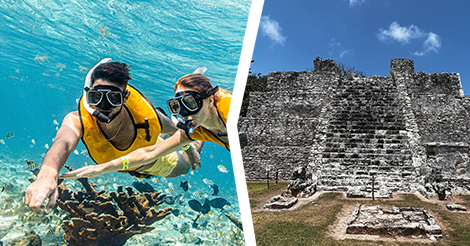 Swim turtles and mayan ruins in cancun | cancunrivieramaya.com